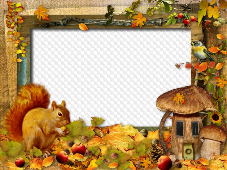 Autumn frames, Leaves yellow rain, 16 PNG frames on transparent background