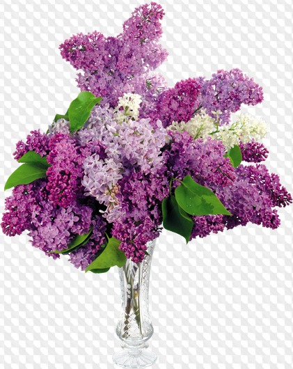 Lilac Flowers with transparent background ( PSD | 10 PNG ) Download