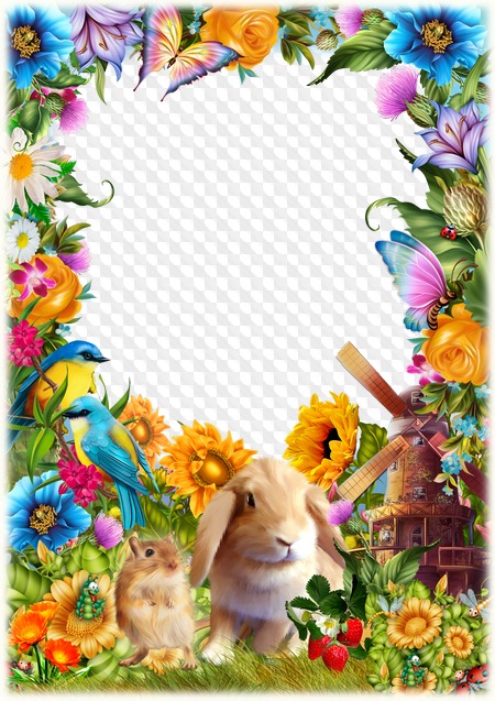 Butterflies, birds and flowers, photo frame