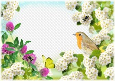 Sunny day, Spring photo frame template