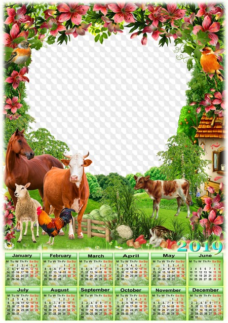 2019, PSD, PNG, Calendar photo frame