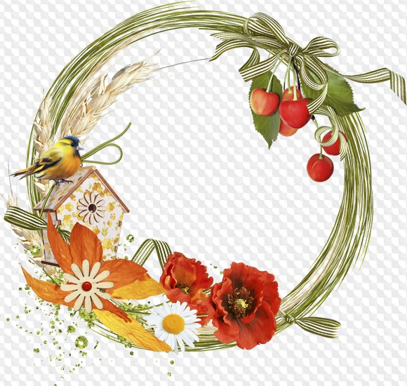 Beautiful flower frames, PSD, PNG, decorative frame, download