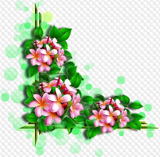PSD, 6 PNG, Floral corners for greeting cards, collages, frames in ...