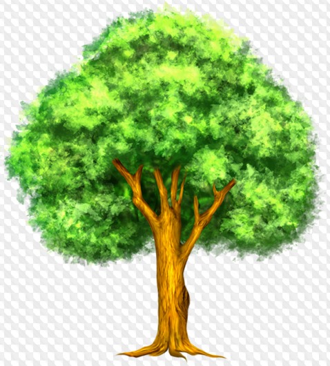Painted trees png on a transparent background