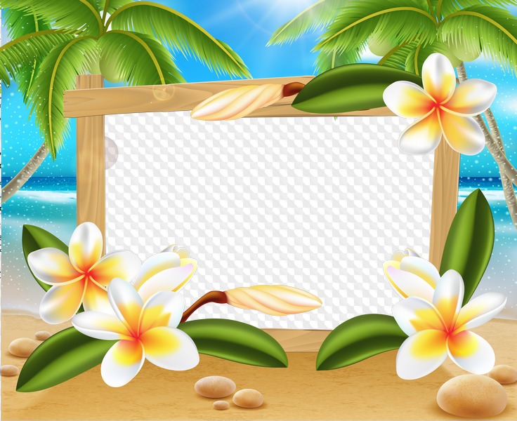 19 PNG, sea photo frames on transparent background