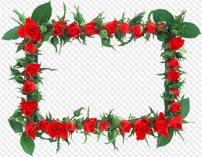 15 PNG, Red roses, Red roses in gifts with bows, images with ...