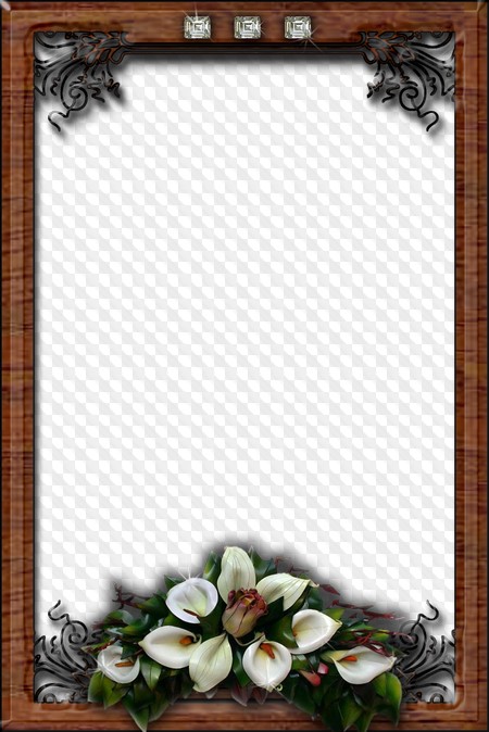 Frame for Photoshop with white flowers, romantic