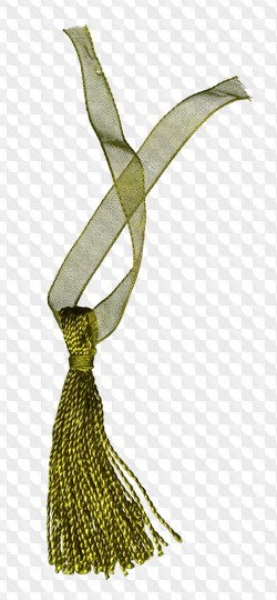 15 PNG, Brush, fringe PNG with transparent background