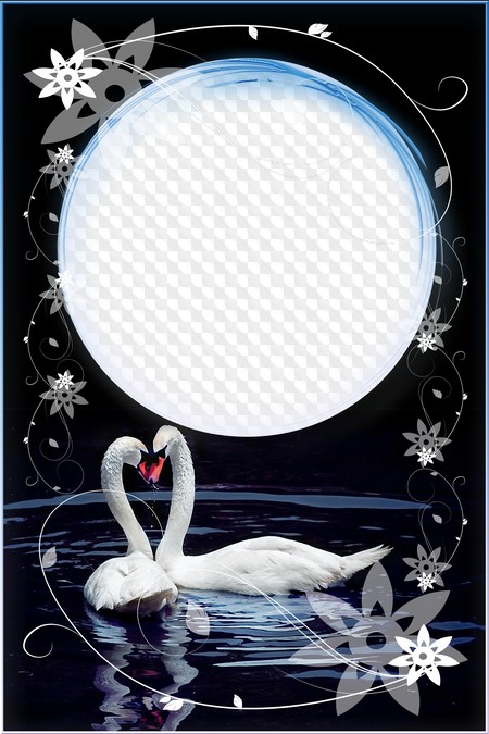 White swans, photo frame PNG and PSD