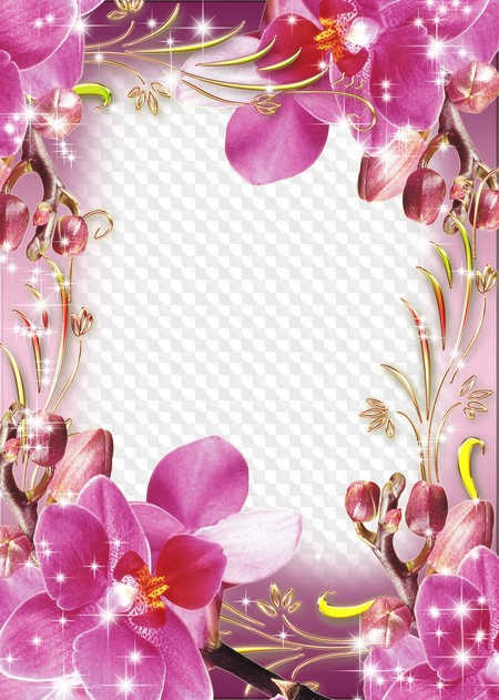 Pink buds, flower photo frame