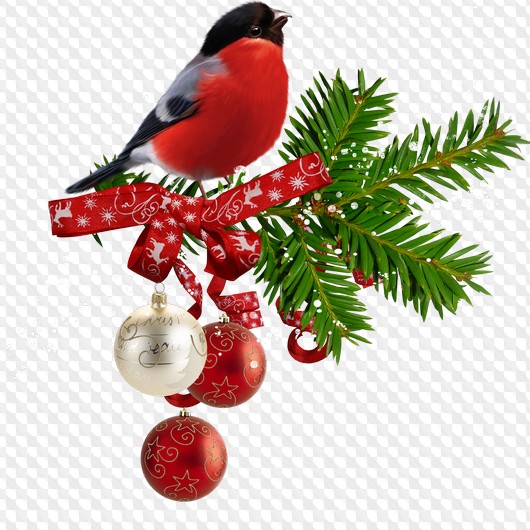 10 PNG, New year and Christmas clusters on a transparent background