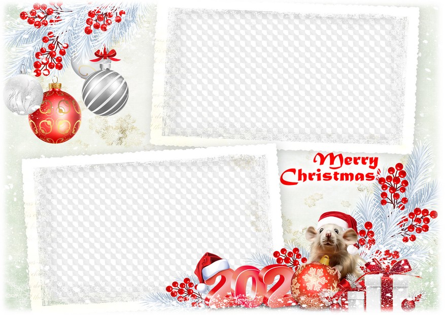 Horizontal Photo frame Two photos, Merry Christmas! 2020