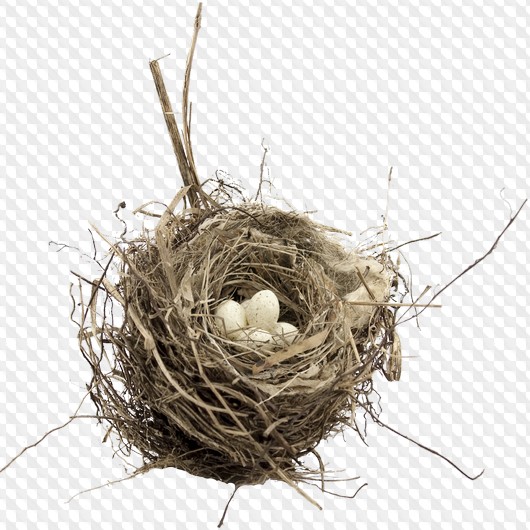 41 PNG, Bird nest, birdhouse