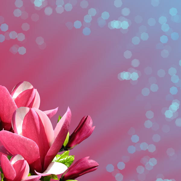 Spring Backgrounds psd