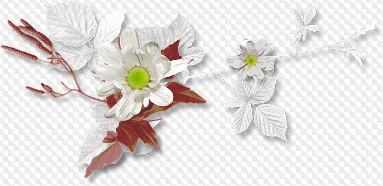 65 PNG, Floral decor, clusters with flowers on a transparent background