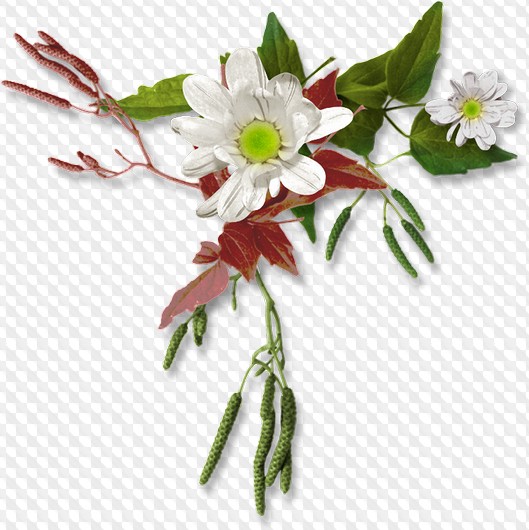 65 PNG, Floral decor, clusters with flowers on a transparent background