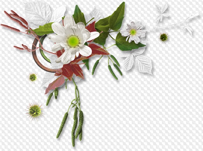 65 PNG, Floral decor, clusters with flowers on a transparent background