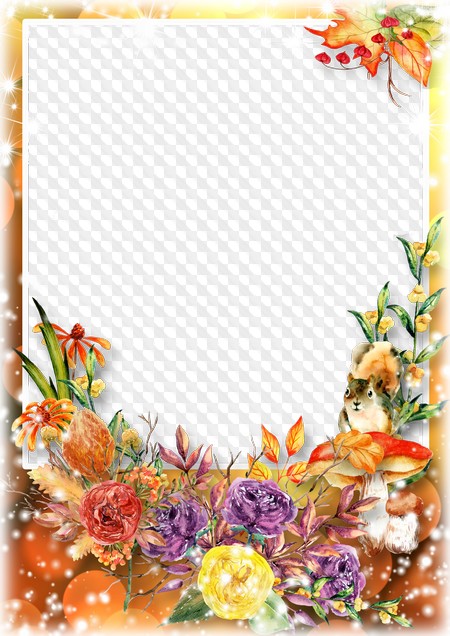 13 PNG, Seasons, photo frames
