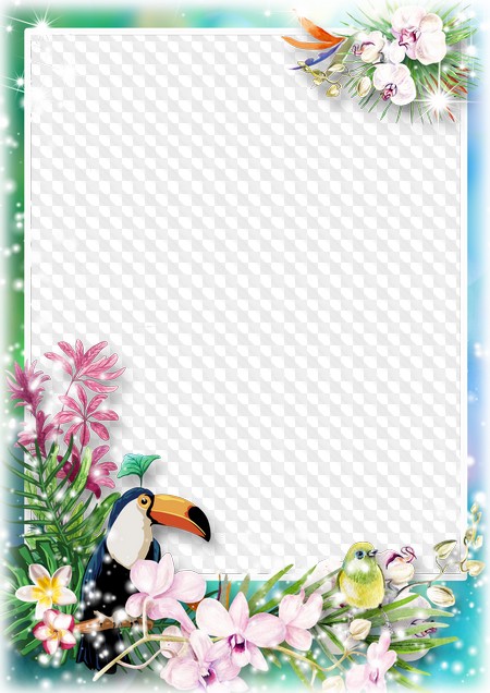 13 PNG, Seasons, photo frames