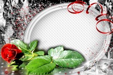 Spring frame for foto - Here comes the spring