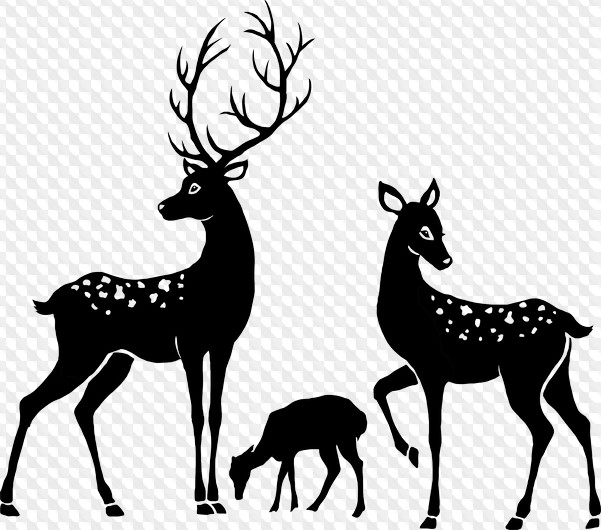 PSD, Deer on nature, 3D Background