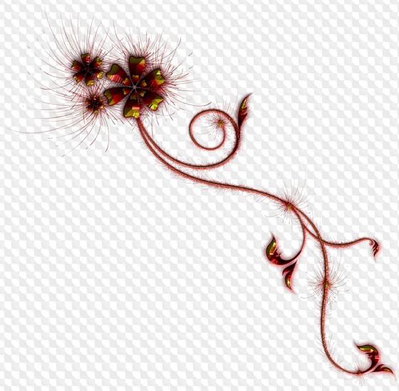 PSD, 20 PNG, Curls, PNG design elements with transparent background