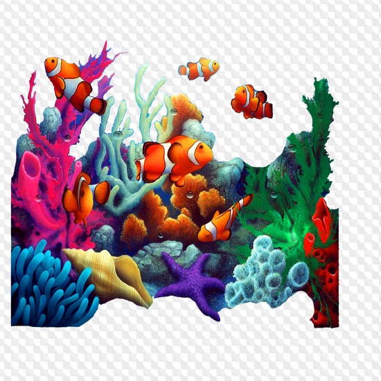 Updated: 25 PNG, Underwater world with fish, corals, shells. PNG sea ...