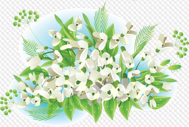 42 PNG, Forest flowers, PNG graphics on a transparent background, trees ...