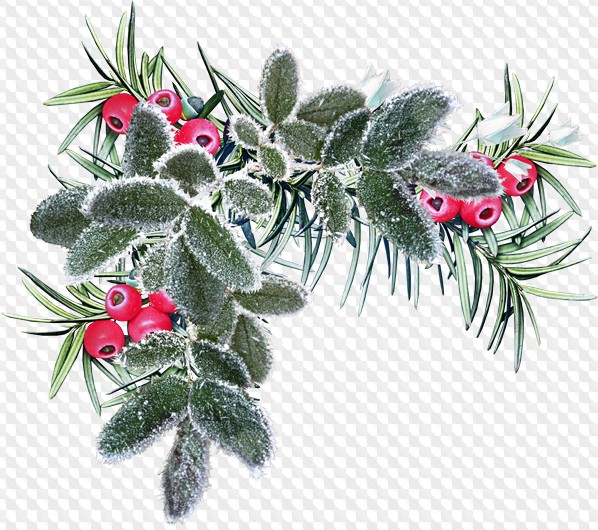 PSD clipart winter christmas clusters for your creativity in Photoshop