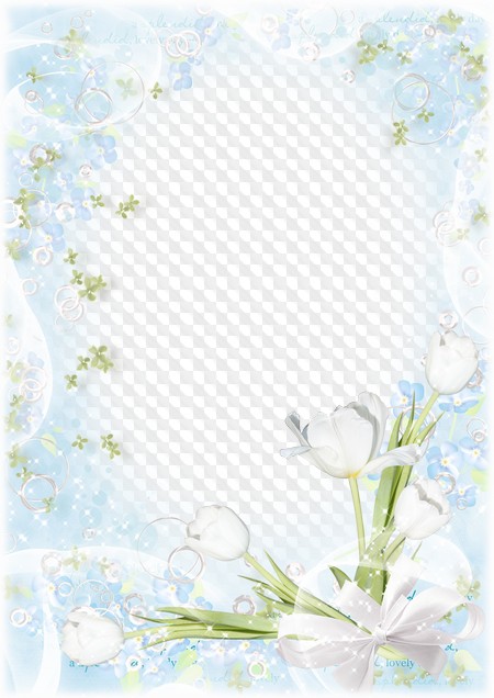 White tulips, photo frame