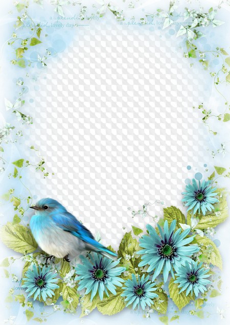 6 PNG, Birds singing in the spring day, Photo frames
