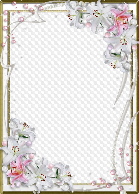 PSD, 6 PNG, Florets, photo frames with flowers and transparent background