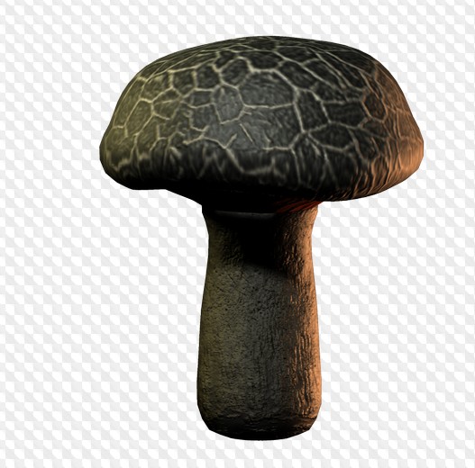 Imágenes prediseñadas de hongos en formato png sobre fondo transparente ...