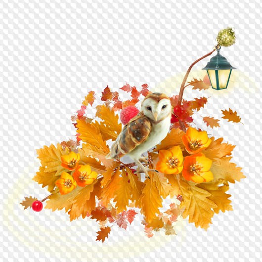 Set of autumn clusters png for design with flowers, leaves, berries ...