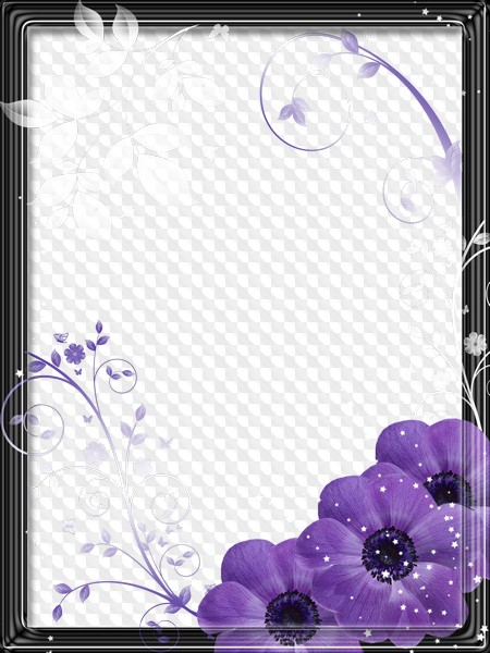 Gentle flowers, Flower photo frame template