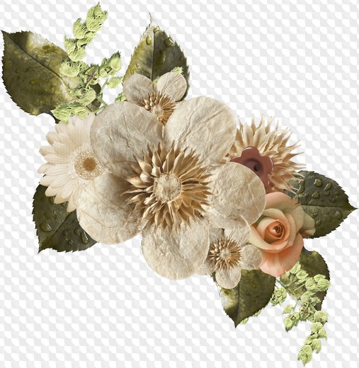 Flower clusters on a transparent background, download, PSD, 6 PNG