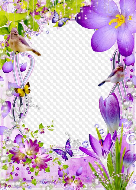 Spring Frame Png