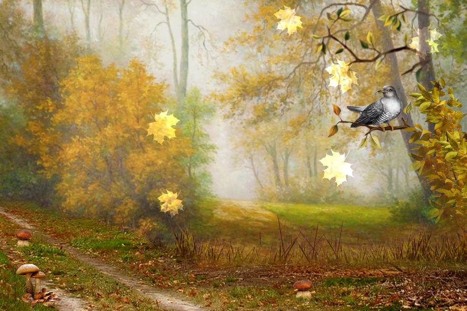 Autumn forest, photo frame and two backgrounds with squirrels and ...