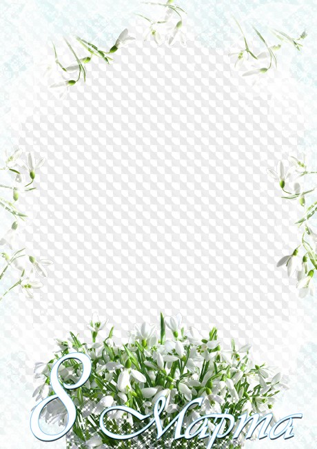 Updated: 15 PNG, March 8, photo frames transparent background. March 8 ...