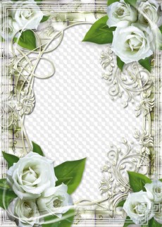 Stylish Frame for Photoshop - White Rose