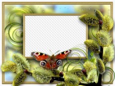 Spring frame for foto - Here comes the spring