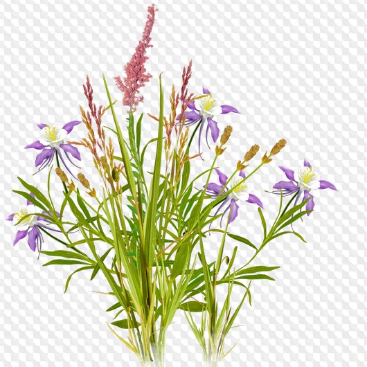 Updated: 27 PNG, Flower glades on transparent background. Flower ...