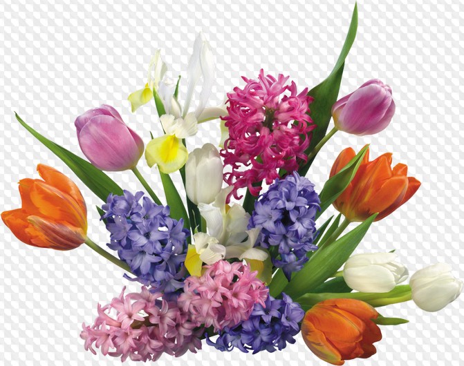 Early spring flowers PNG, PSD. Early spring flowers on transparent ...
