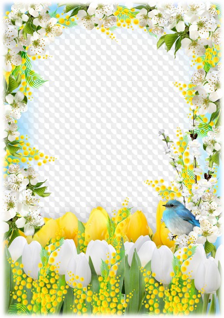Spring bloom, photo frame PSD, PNG.