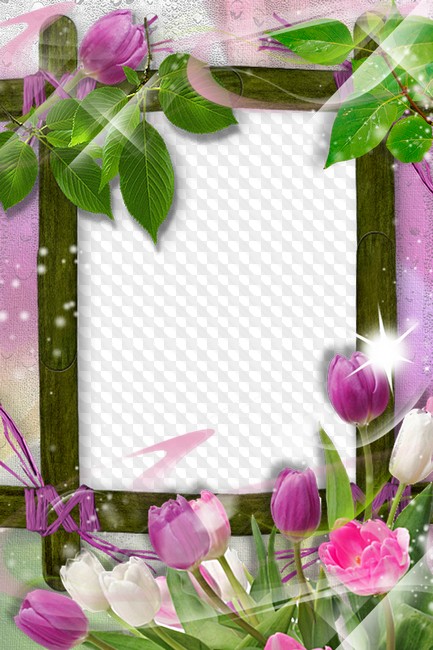 PSD Frames for photoshop - Pink flowers