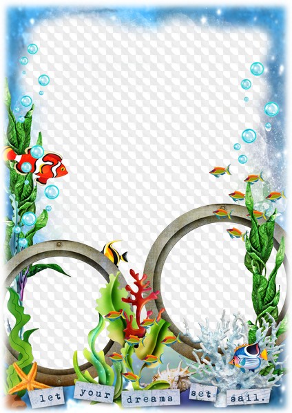 Sea photo frame underwater world ( psd, png, download )