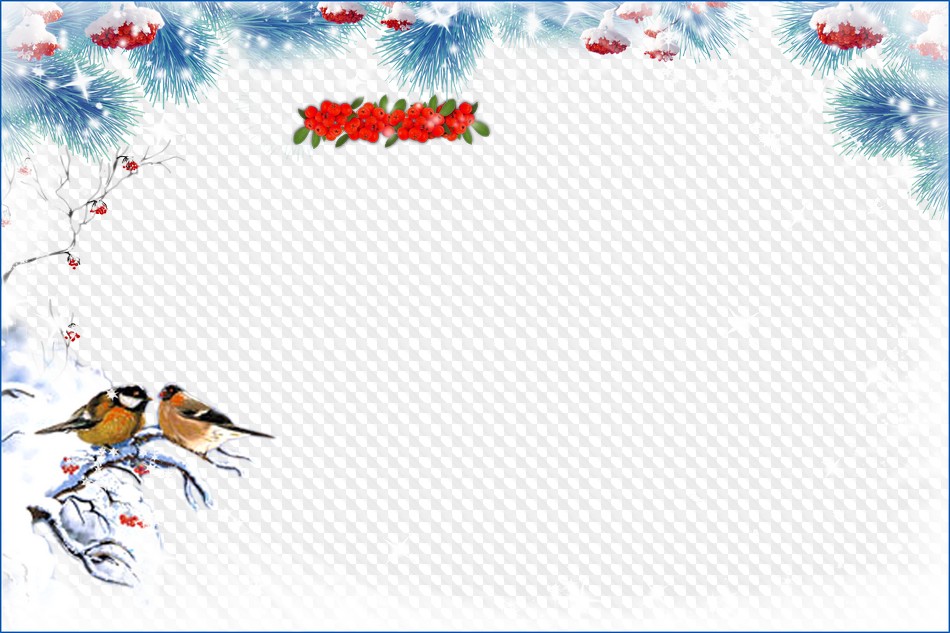 Birds Winter Borders And Frames