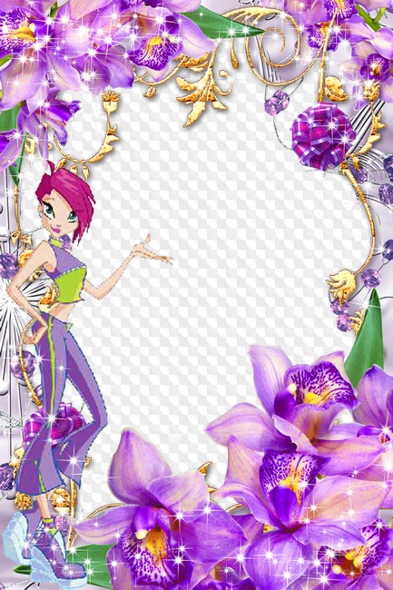 Beautiful set of children's frames for photos with fairies Winx