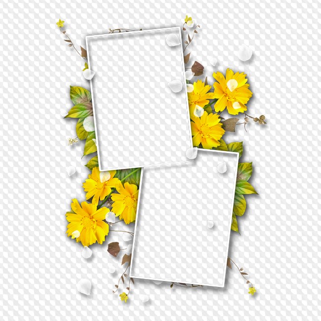 Scrap-page frame for Adobe Photoshop - The summer nature ( free 8 Scrap ...
