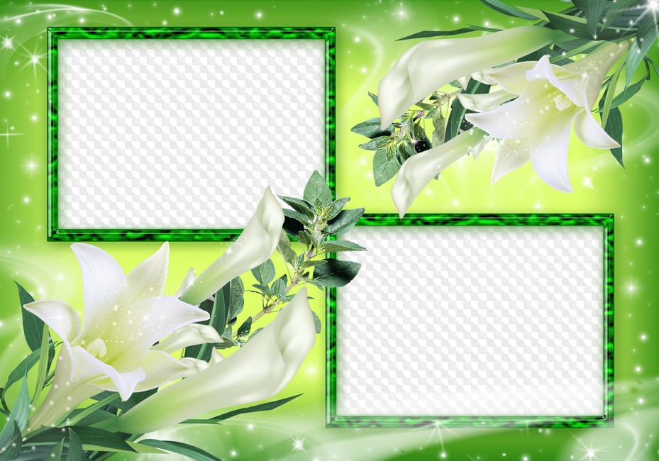 PNG Frames for Photoshop - Flower Cascade ( free 20 photo frames png ...